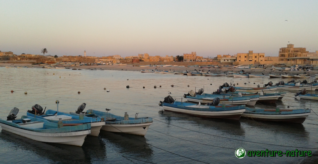 IMMERSION DANS LE GRAND SUD D'OMAN - AVENTURE NATURE